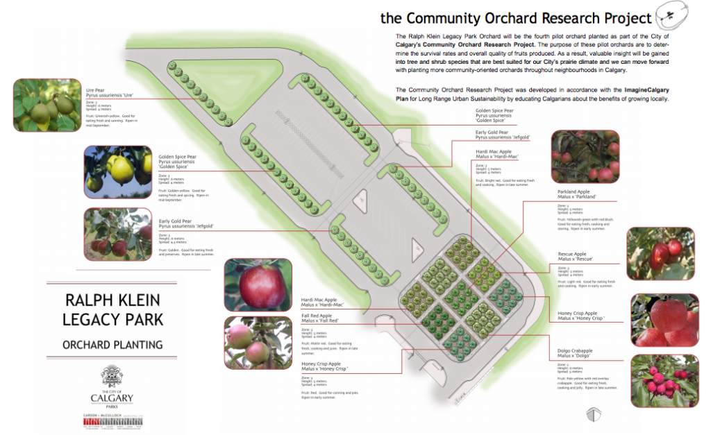 20 Urban Food Forests From Around The World Shareable