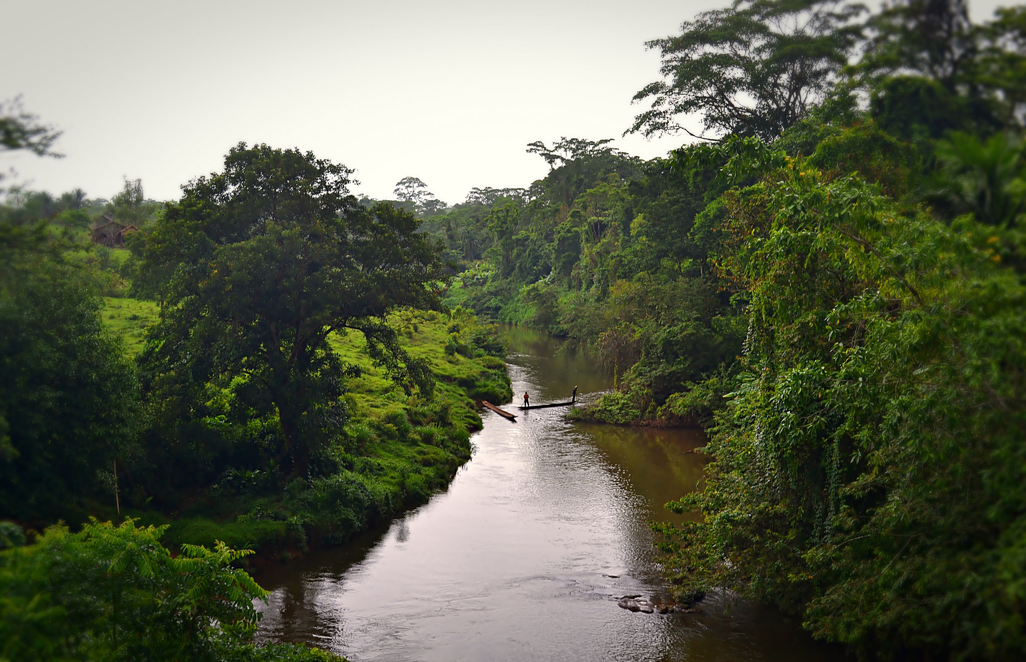 Indigenous Land Management Highly Effective in Fighting Climate Change ...