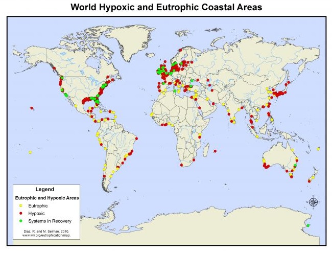 Want to Solve Climate Change? Tackle Inequality - Shareable
