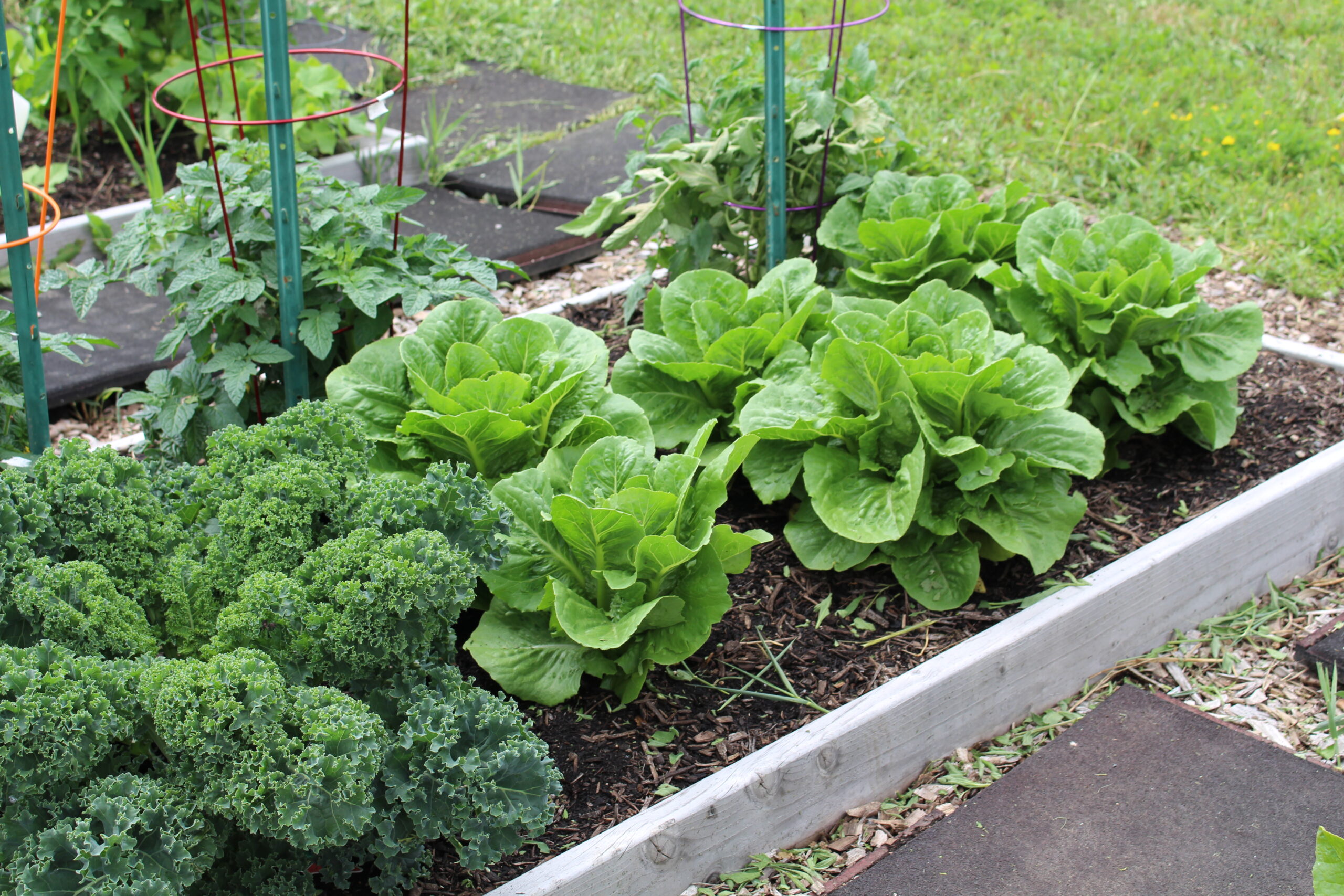 The 'world's first library farm' is home to plush gardens and community ...