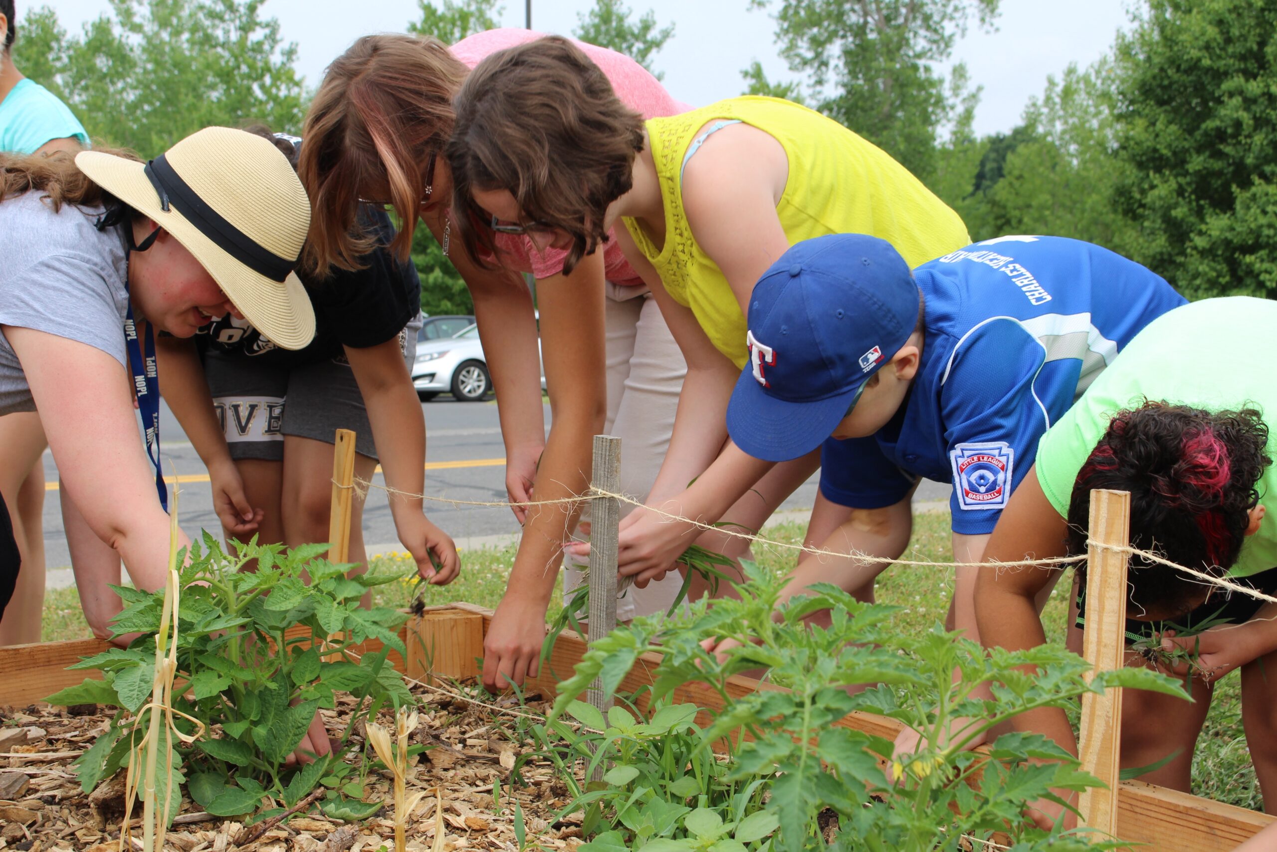 The 'world's first library farm' is home to plush gardens and community ...