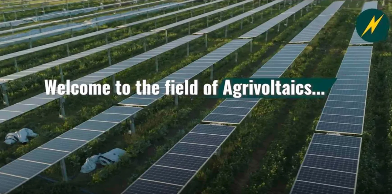 Agrivoltaics: Harvesting the sun to benefit farmers, crops, and ...