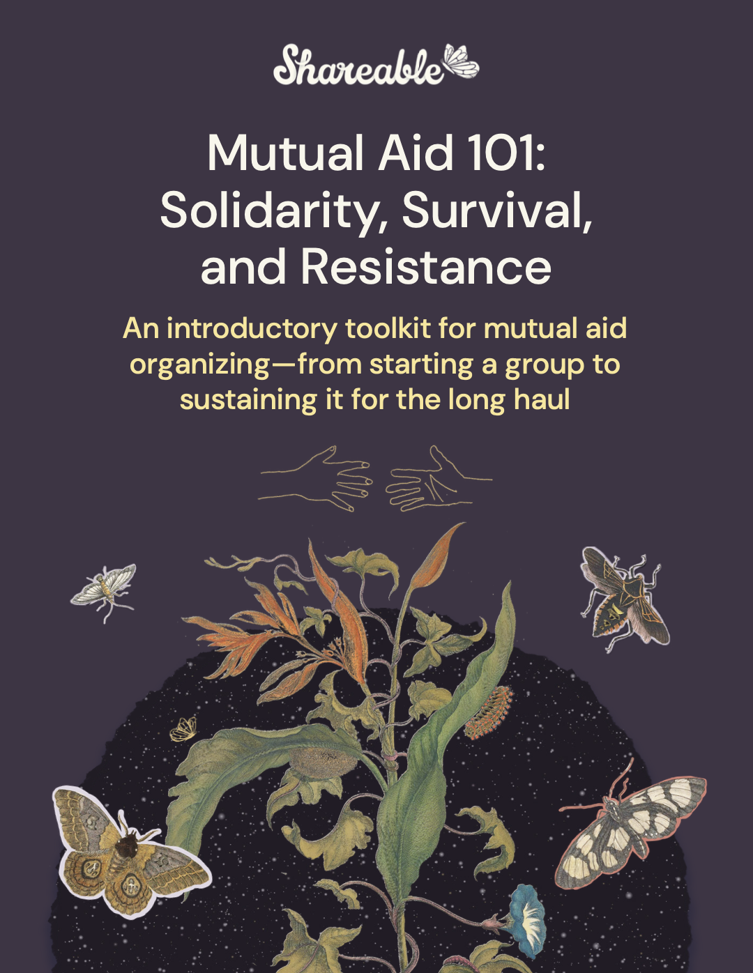 Introducing Shareable's new toolkit: "Mutual Aid 101: Solidarity ...